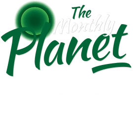 Sustainability, Well-being, Environmental sustainability